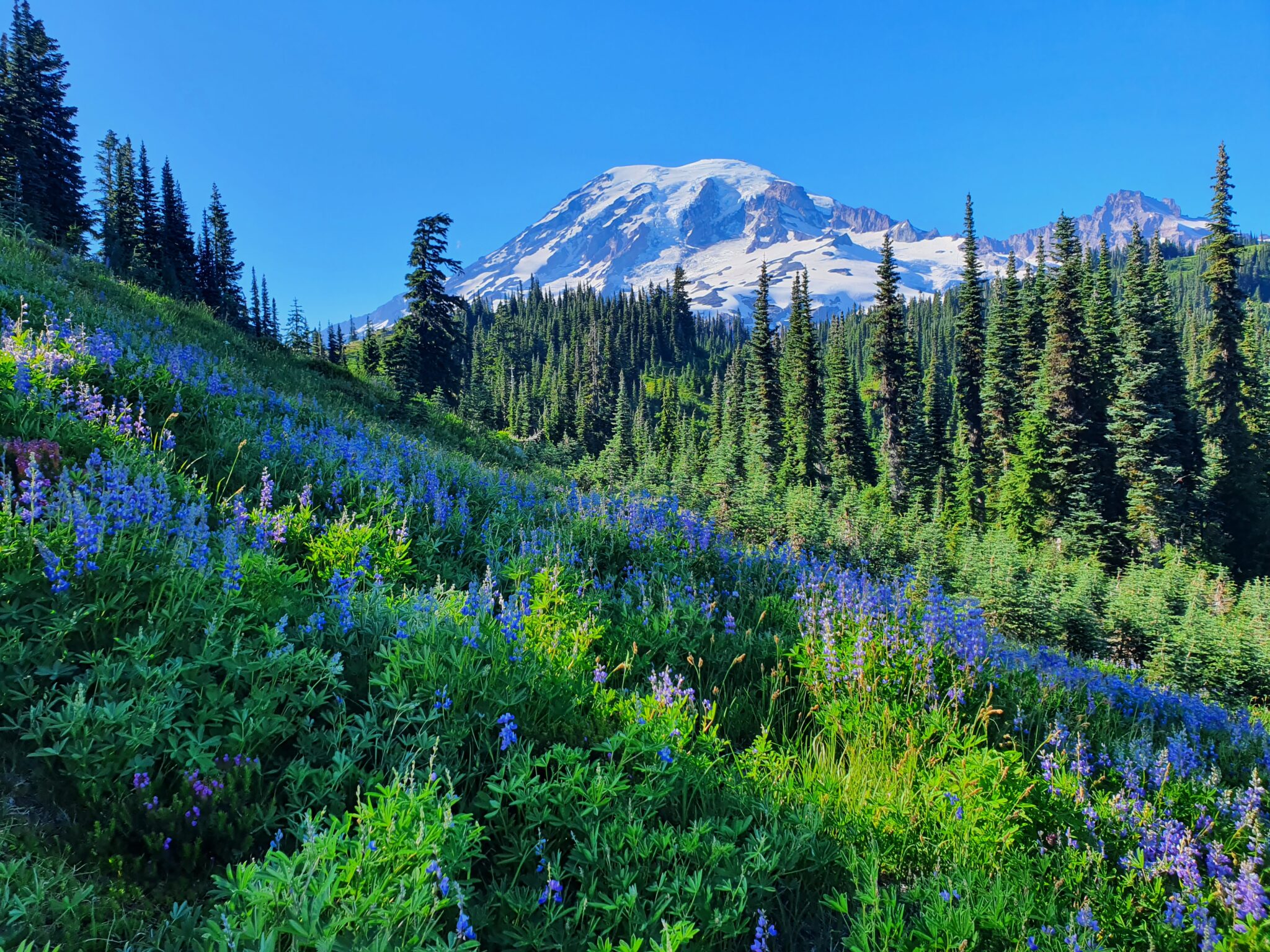 Stevens Ridge to Cowlitz Park MRNP - Where is Kyle Miller?